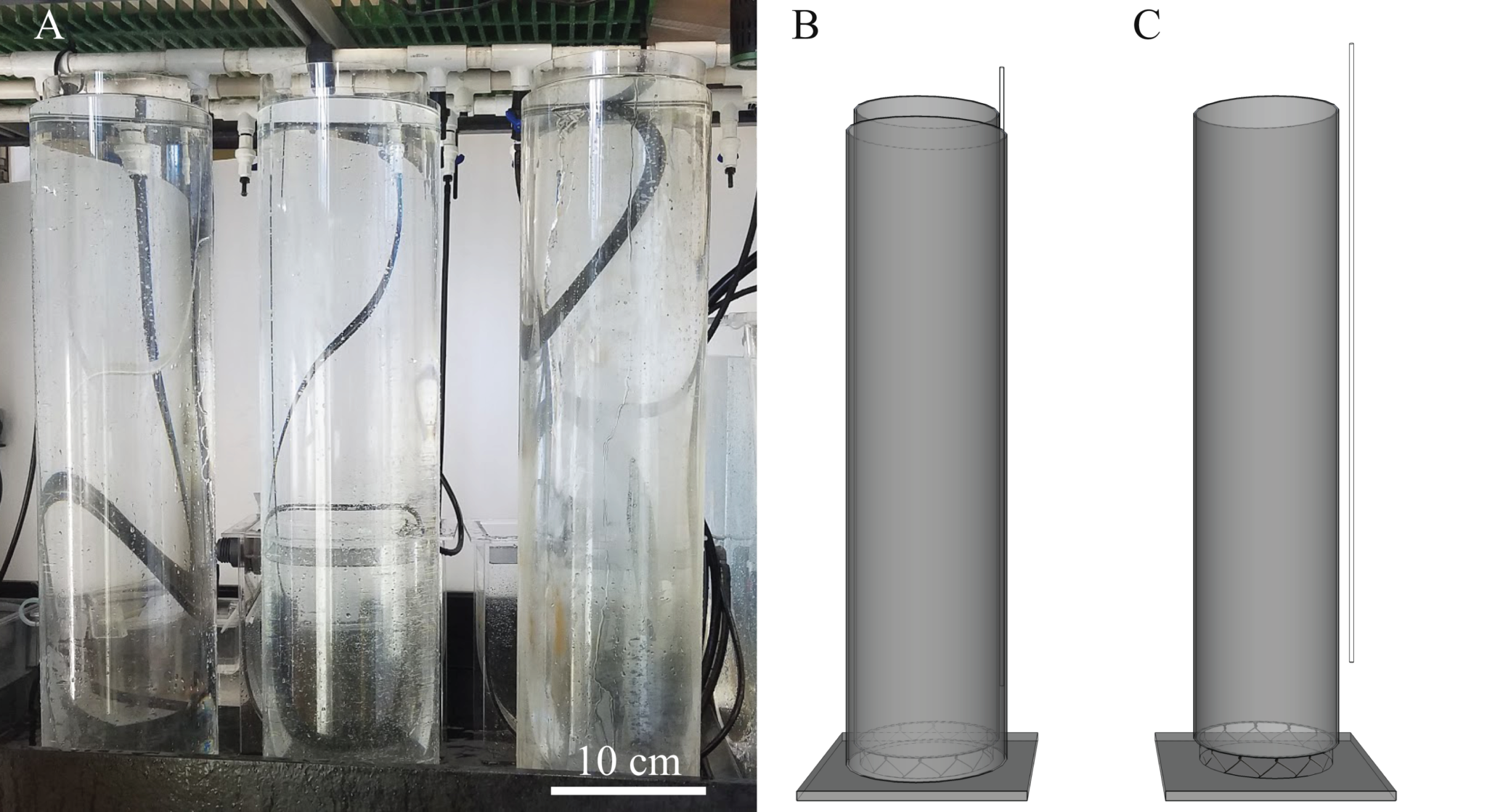 A Diffusion Tube is a Useful Device for Culturing Delicate ...