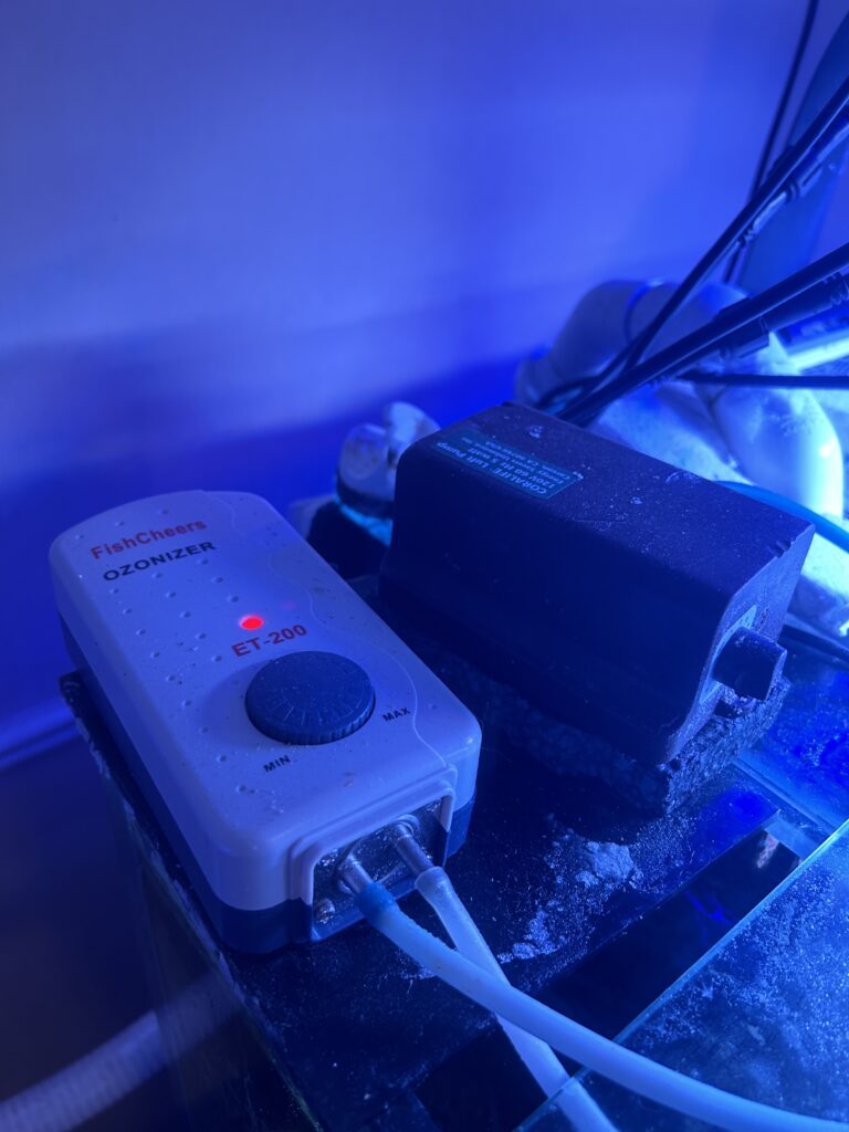 What Ozone and UV do on a Reef Tank | Reef Builders | The Reef and ...