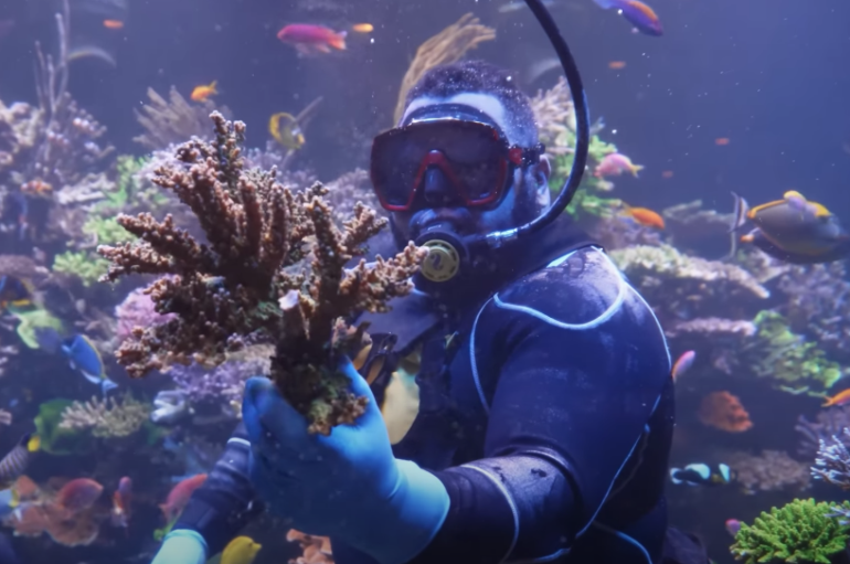 We Planted Jake Adams’ Coral into Andrew Sandler’s Polo Reef | Reef Builders | The Reef and ...
