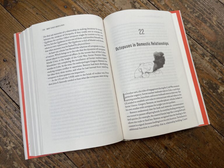 Book Review: Many Things Under A Rock, by David Scheel | Reef Builders ...