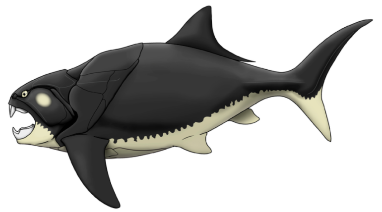 Ancient Sea Predator Dunkleosteus Was Less Than Half Its Estimated Size ...
