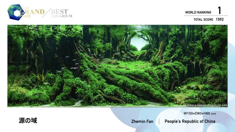 ADA’s IAPLC Showcases The World’s Best Aquascapes in 2023 | Reef Builders | The Reef and ...