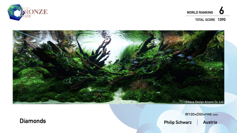 ADA’s IAPLC Showcases The World’s Best Aquascapes in 2023 | Reef ...