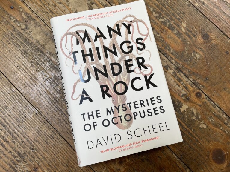 Book Review: Many Things Under A Rock, by David Scheel | Reef Builders ...