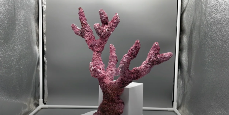 Premium Aquatics adds new Tonga Branch Morroca Reef Rock to the range ...