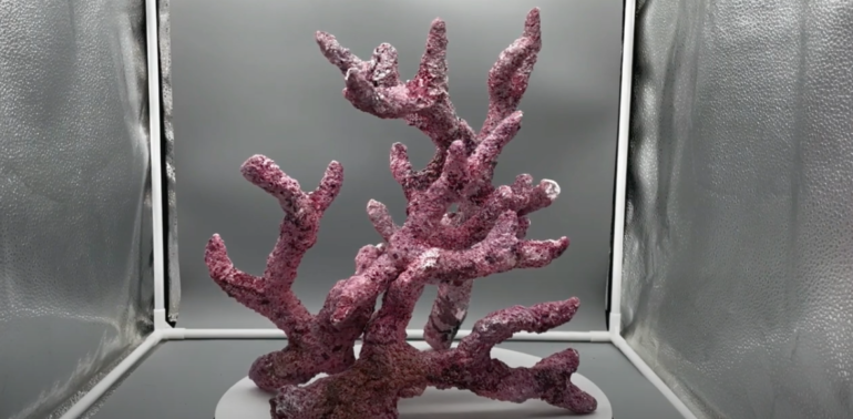Premium Aquatics adds new Tonga Branch Morroca Reef Rock to the range ...