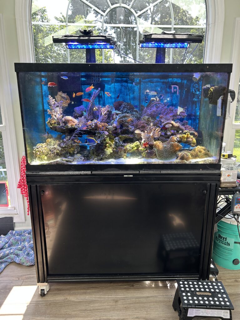 How to Control Reef Tank Temperature and Excess Humidity | Reef ...