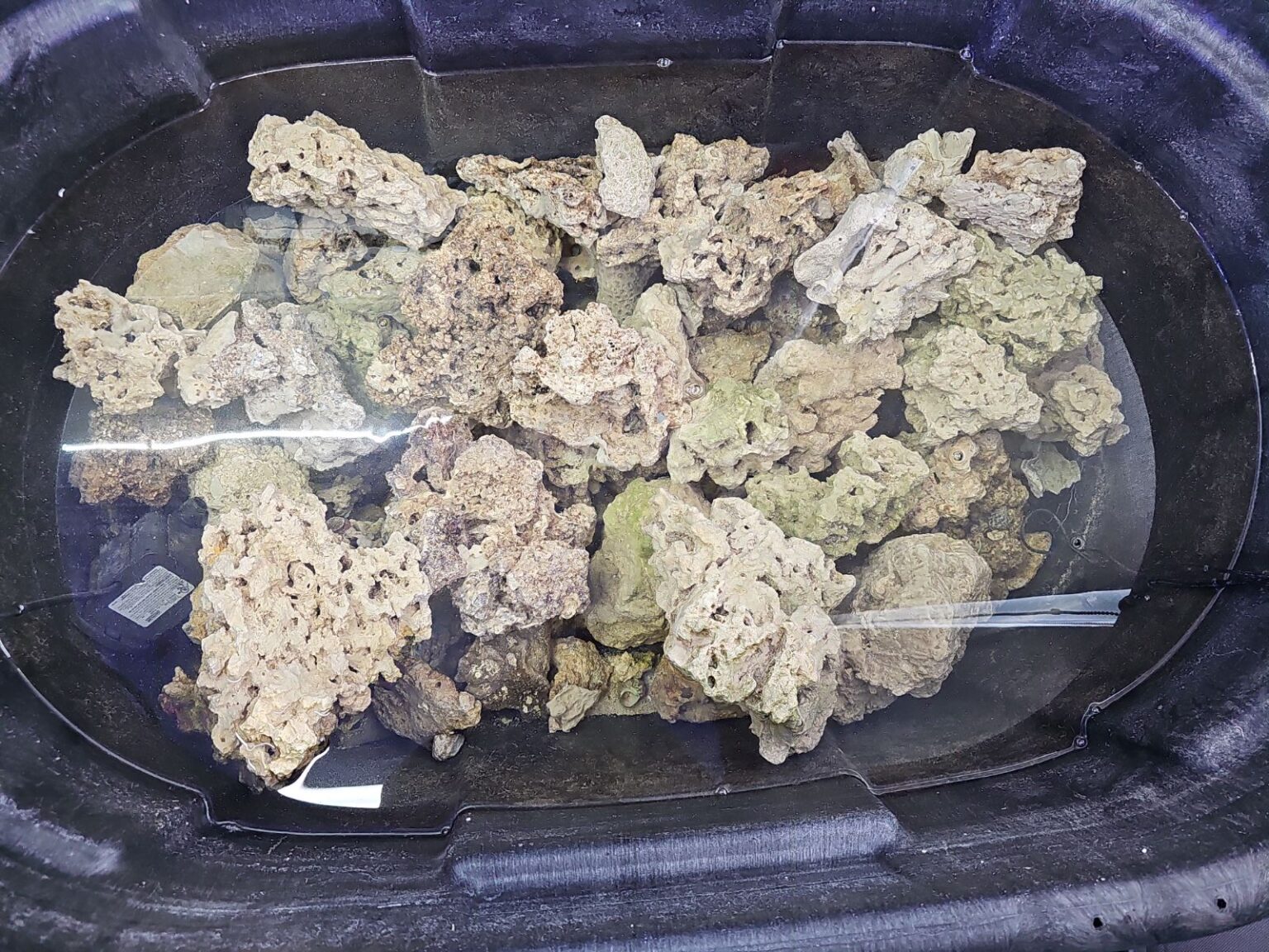 How to Cure Live Rock | Reef Builders | The Reef and Saltwater Aquarium ...