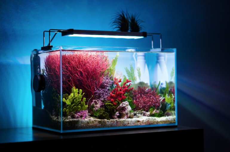 Magnificent Macroalgae: The Sublime Scapes of Tigahboy.h2o | Reef ...