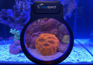Tag: Maxspect | Reef Builders | The Reef and Saltwater Aquarium Blog