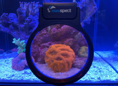 Maxspect’s Pastel Reef Magnifier is a Light, Phone Lens, and Magnifier ...