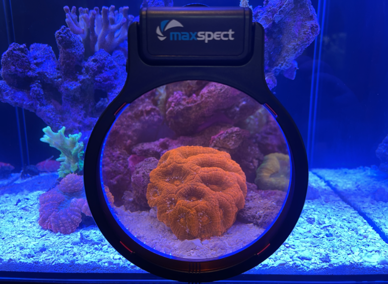 Maxspect’s Pastel Reef Magnifier is a Light, Phone Lens, and Magnifier ...