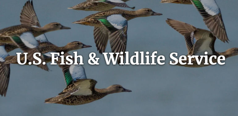 U.S. Fish and Wildlife Service Recruiting 30 Biologists - Deadline ...