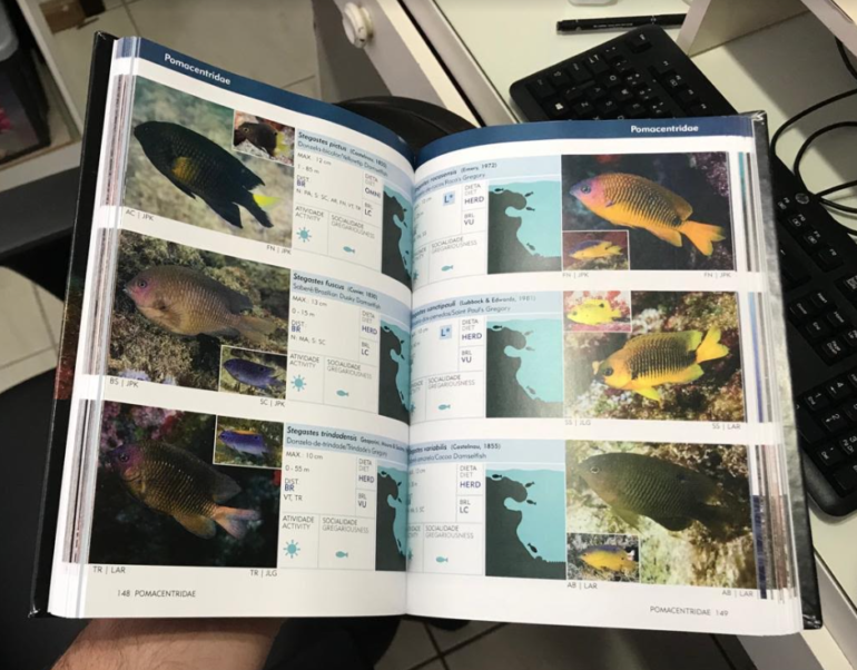Brazilian Reef Fishes Book is the Most Comprehensive Reference to Date ...