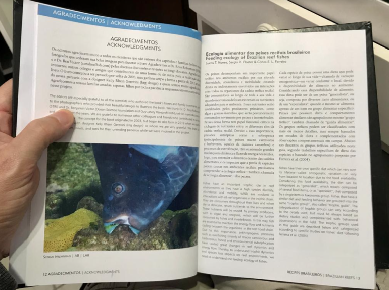 Brazilian Reef Fishes Book is the Most Comprehensive Reference to Date ...