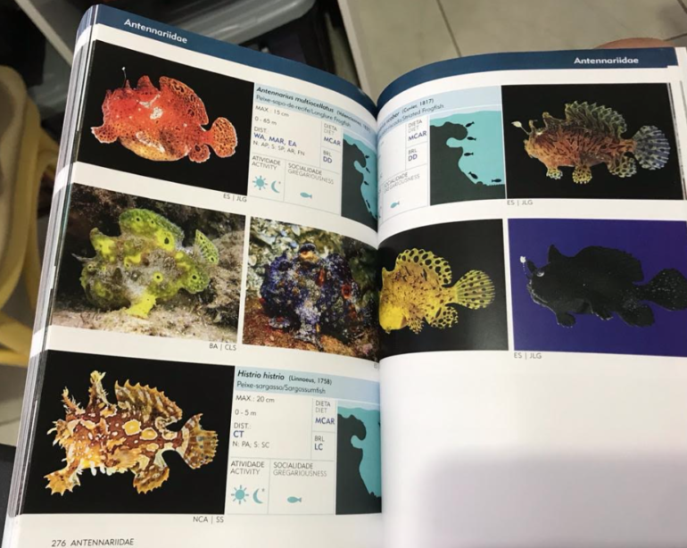 Brazilian Reef Fishes Book is the Most Comprehensive Reference to Date ...
