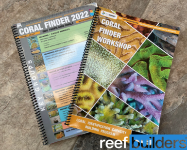 Online Coral ID Workshops Are Back For 2023/24 | Reef Builders | The ...