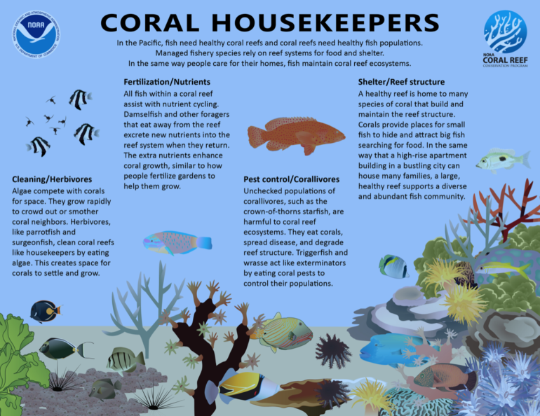 NOAA Educational Poster can Help Reef Aquarium Newbies too | Reef ...