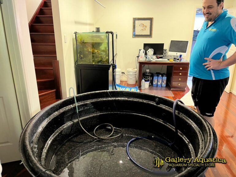 How to Move a Reef Aquarium | Reef Builders | The Reef and Saltwater ...