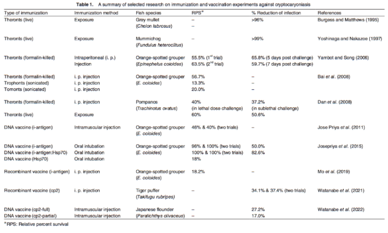 The Promise of A Vaccine for Marine Ich, Cryptocaryon irritans | Reef ...