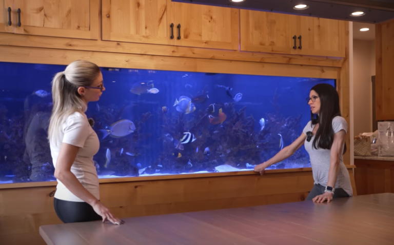 How to Mix Aggressive and Territorial Marine Fish | Reef Builders | The ...