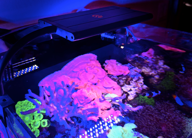 Orbit Marine Nano LED is the Best Value Nano Reef Light We’ve Seen ...