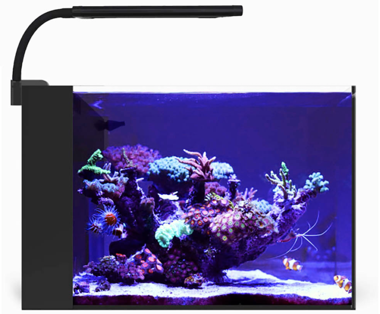 Orbit Marine Nano LED is the Best Value Nano Reef Light We’ve Seen ...
