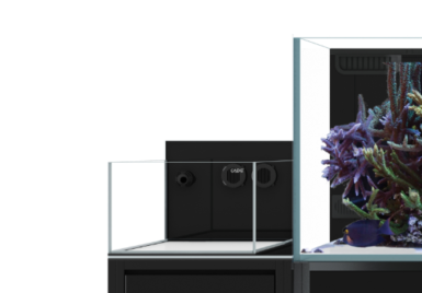 Cade’s Reef X offers a Bolt-On extra tank solution for existing Reef ...