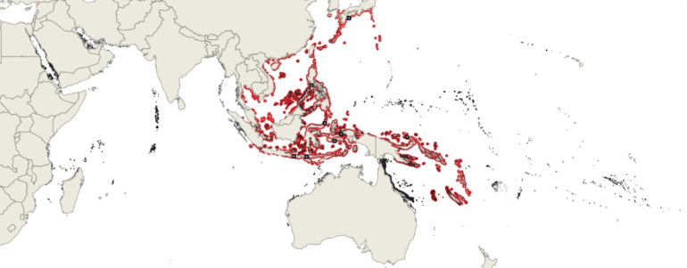 An Identification Guide to the Saron Shrimps | Reef Builders | The Reef ...