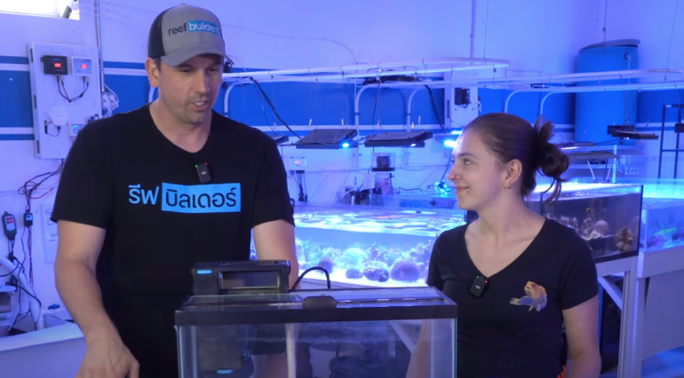 How to Set Up a Quarantine Tank for Saltwater Fish | Reef Builders ...