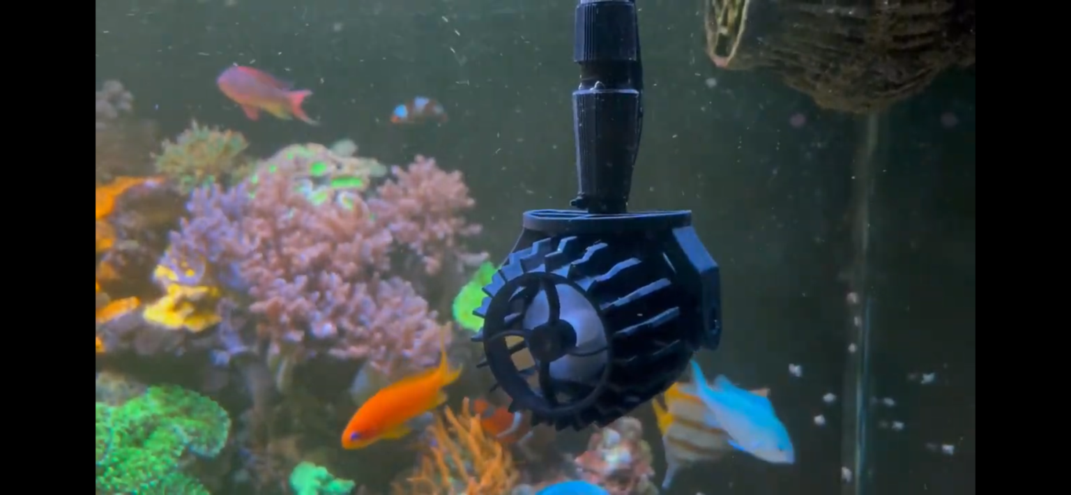 OceanSeaWave Brings Motion to the Ocean | Reef Builders | The Reef and ...