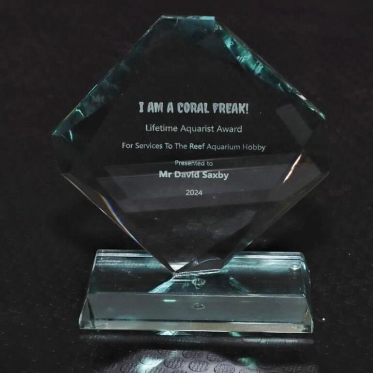 David Saxby Wins Coral Freaks Aquarist Of The Year and Lifetime ...