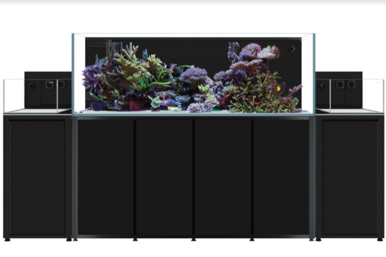 Reef Builders Top 10 Products of 2024 | Reef Builders | The Reef and ...