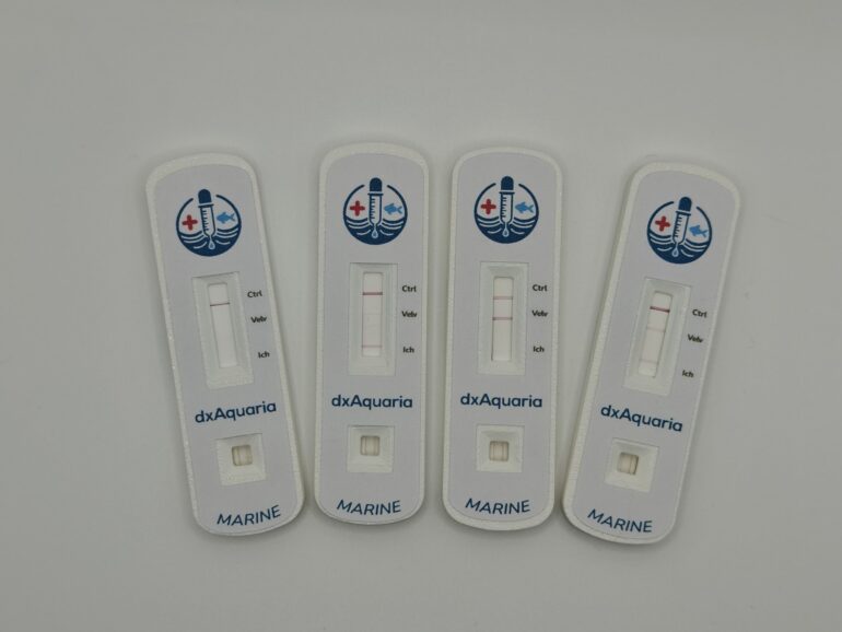 dxAquaria Announces Development of Handheld Ick and Velvet Test Kits ...