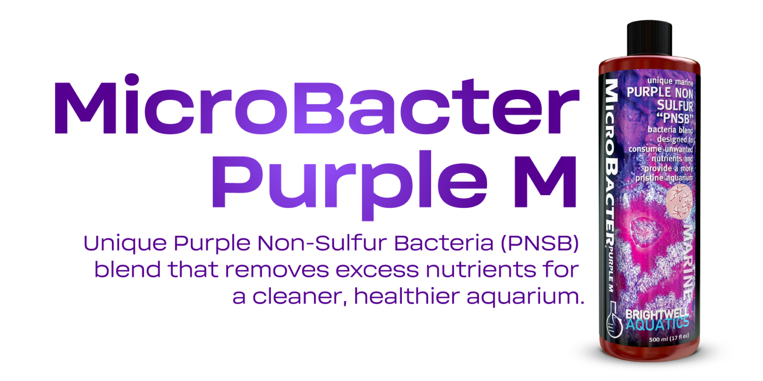 Brightwell Aquatics Releases New Bacteria Product “MicroBacter Purple M ...