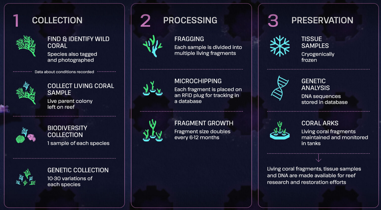 The Forever Reef Project Hopes To Create A Coral Ark | Reef Builders ...