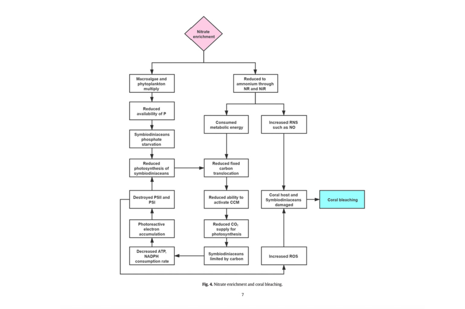 The DON/DIN Rabbit Hole - Urea Dosing And A New Approach To Nitrogen ...