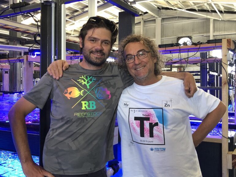 New Octocoral Finder Released | Reef Builders | The Reef and Saltwater ...