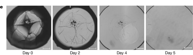 Self Healing Glass Discovered | Reef Builders | The Reef and Saltwater ...