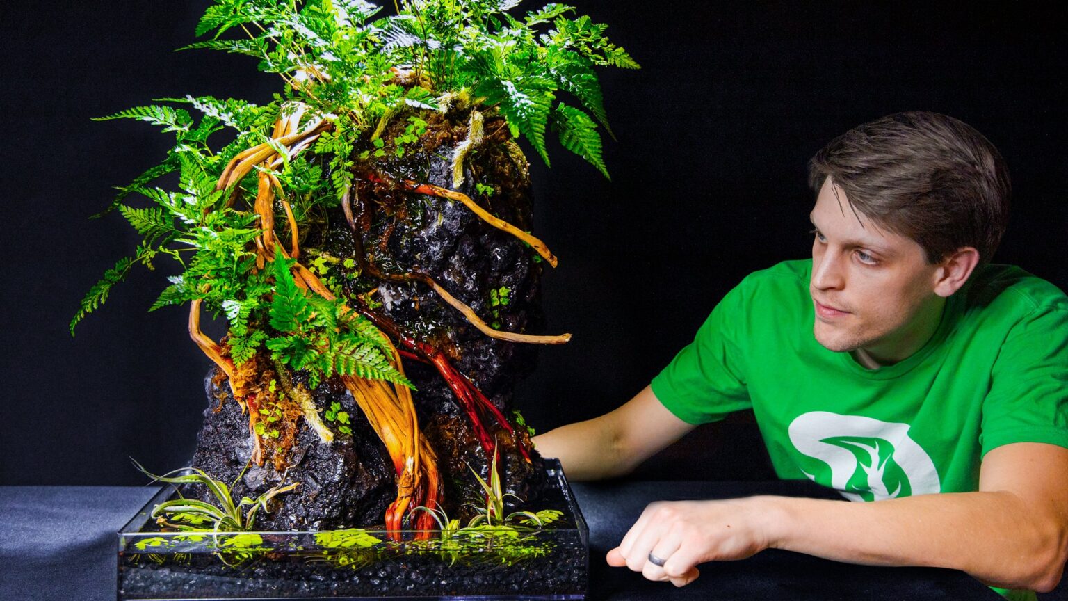 Tidal Gardens: Open House | Reef Builders | The Reef and Saltwater ...