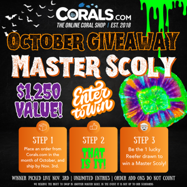 Master Scoly Giveaway! | Reef Builders | The Reef and Saltwater ...