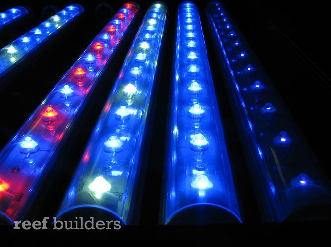 REEF News ! | Page 29