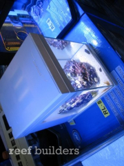 JBJ cubey is an all-in-one pico system | Reef Builders | The Reef and ...