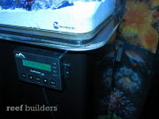 Micro-reefs and Coldwater Marine Aquatics showcase their new temperate ...