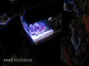Micro-reefs and Coldwater Marine Aquatics showcase their new temperate ...