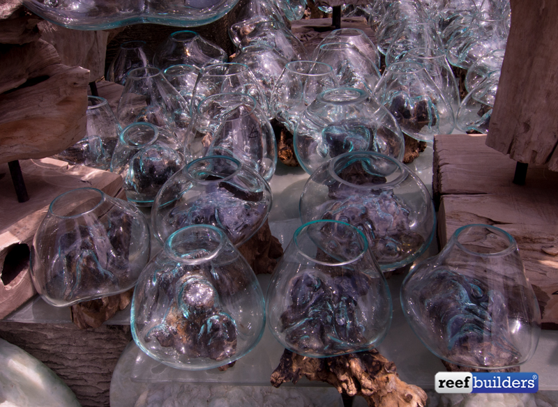 Molten glass fish bowls are ripe for miniature aquascaping | Reef ...