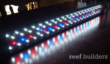 AquaticLife Edge LED: hands-on with a unique dual striplight | Reef ...