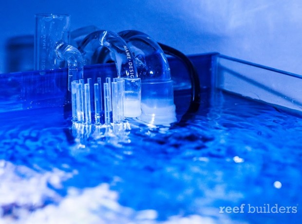 Mame Nano Overflow review | Reef Builders | The Reef and Saltwater Aquarium Blog