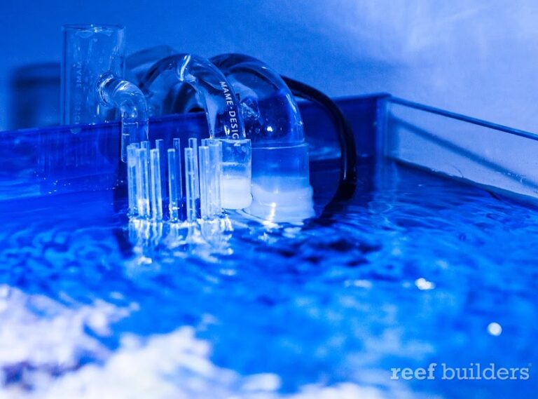 Mame Nano Overflow review | Reef Builders | The Reef and Saltwater ...