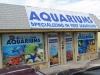 Ocean View Aquariums is an exemplary new fish store in Miami | Reef ...